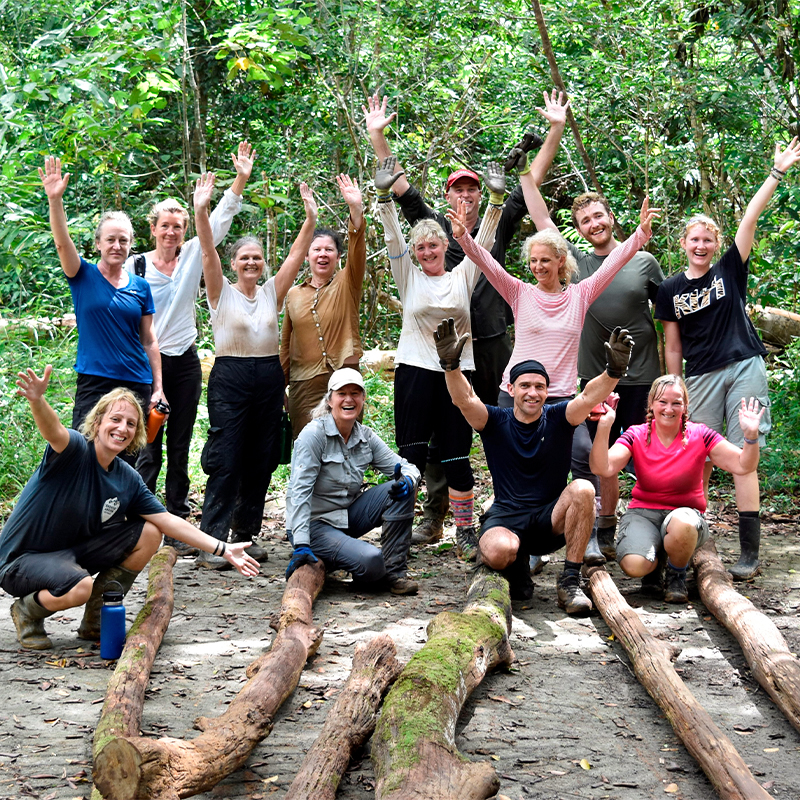 Volunteer Abroad with Animals | The Great Projects