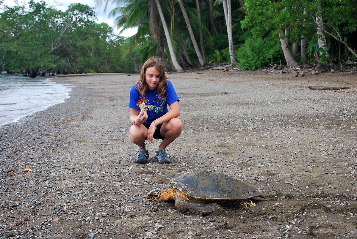 Volunteer With Sea Turtles In Costa Rica | The Great Projects