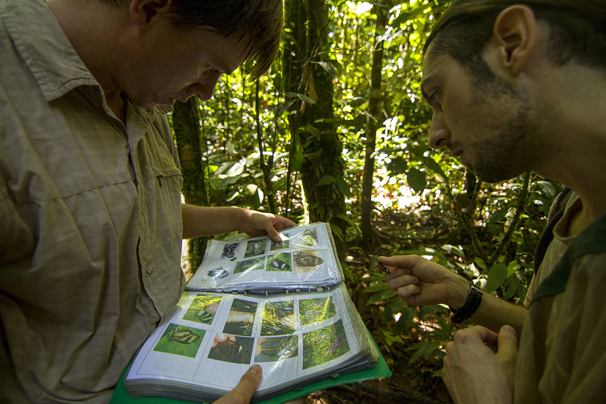 Amazon Conservation Project in Peru | The Great Projects