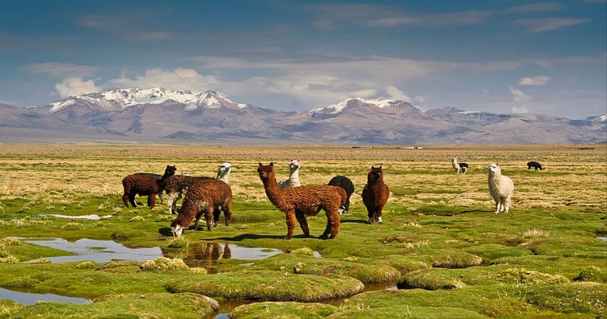 Read our Facts About Bolivia | The Great Projects