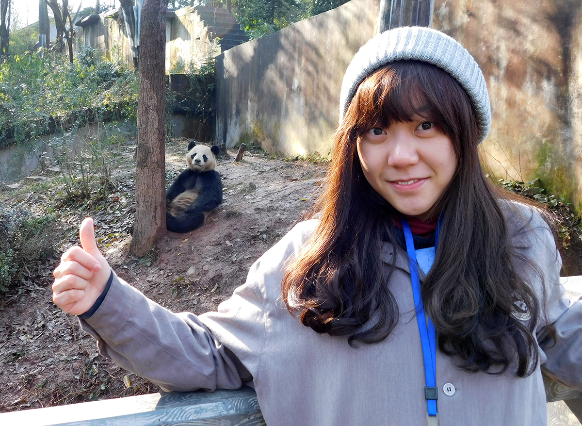 Volunteer With Pandas In China | The Great Projects