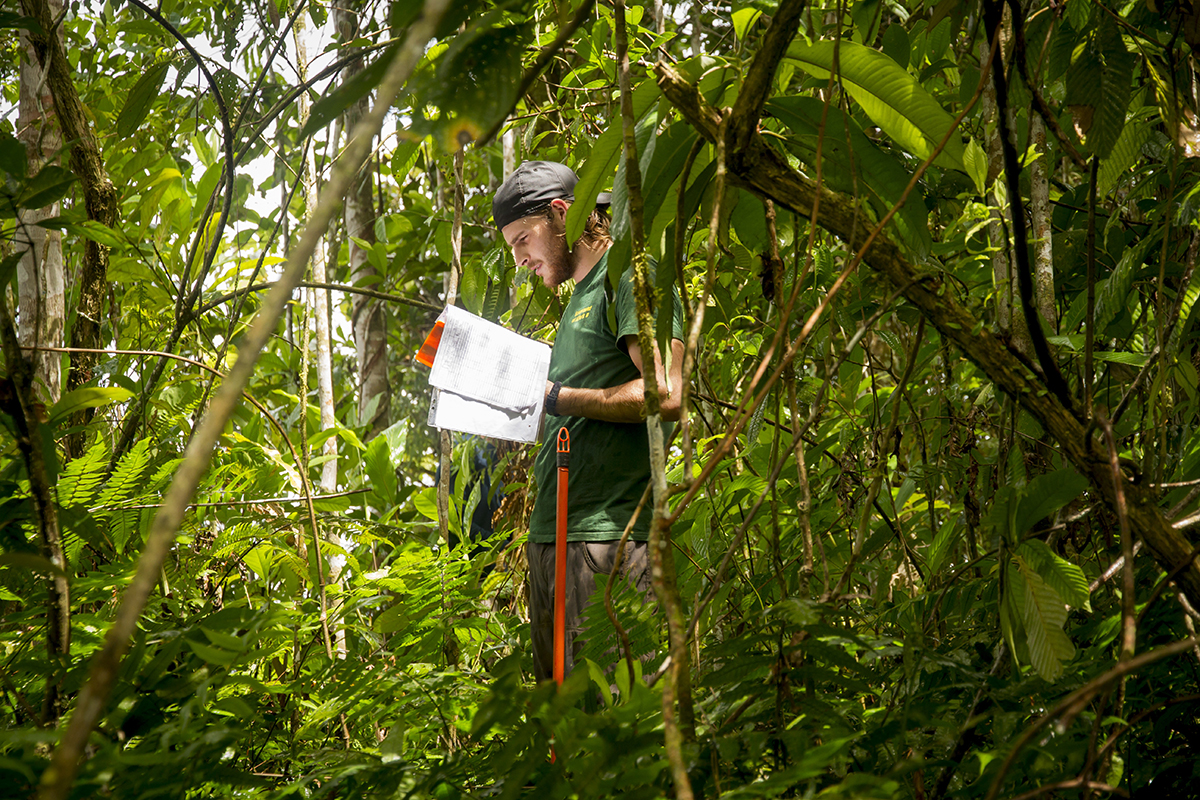 Amazon Conservation Project in Peru | The Great Projects
