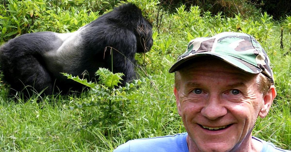 The Great Gorilla Project & The Bwindi Project | The Great Projects