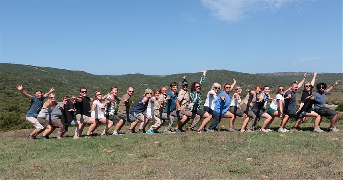 Shamwari Update | The Great Projects