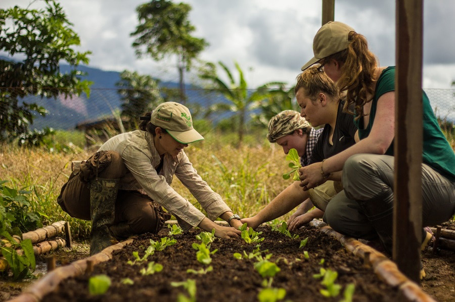 Amazon Conservation Project in Peru | The Great Projects