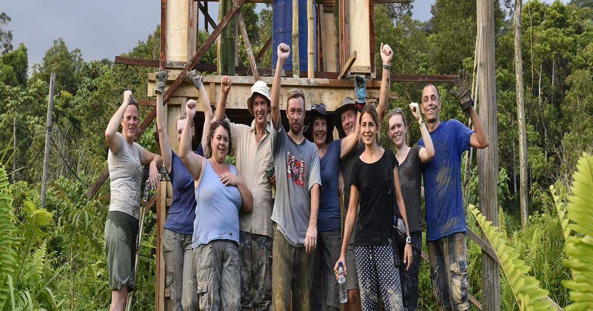 Benefits Of Volunteering With Wildlife | The Great Projects