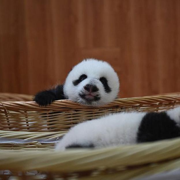 Volunteer in China | The Great Projects