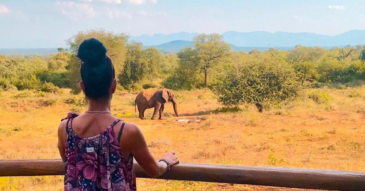 Volunteer at the SanWild Sanctuary & Reserve | The Great Projects